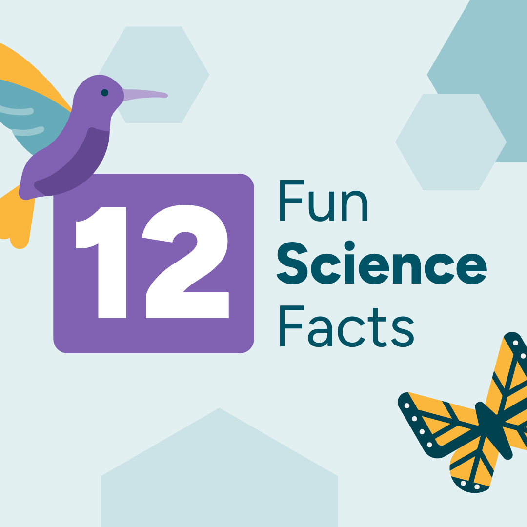 12 Fun Science Facts from Science Reference Ultimate | EBSCO